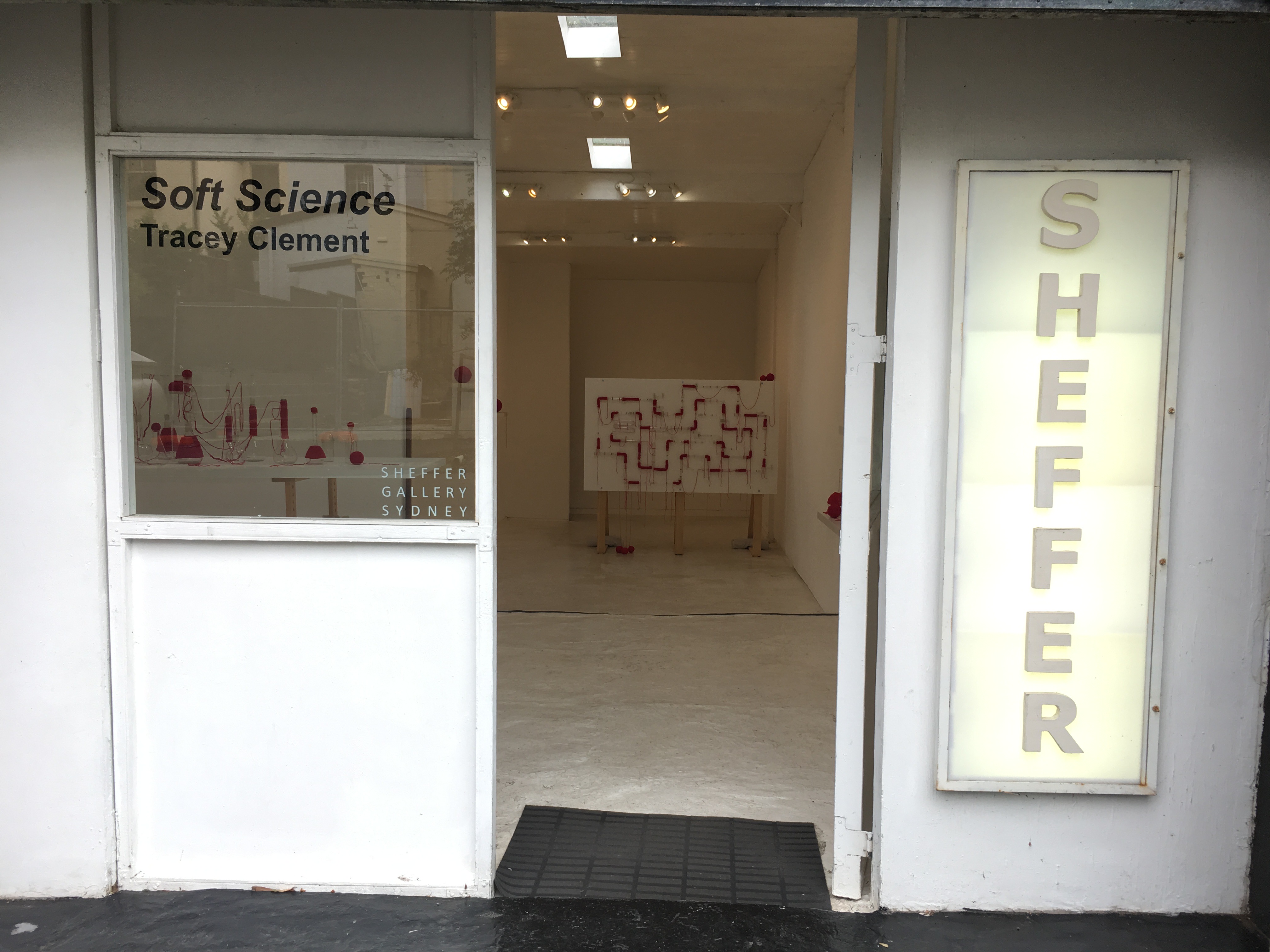 Soft Science at Sheffer Gallery | Tracey Clement: artist and writer